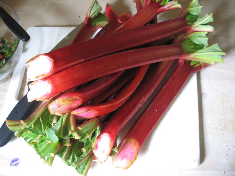 Rhubarb in Baby Food: 3 Healthy Rhubarb Recipes That Make Your Child Smile