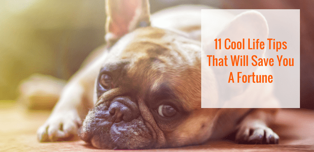 11 Cool Life Tips that will Save You A Fortune