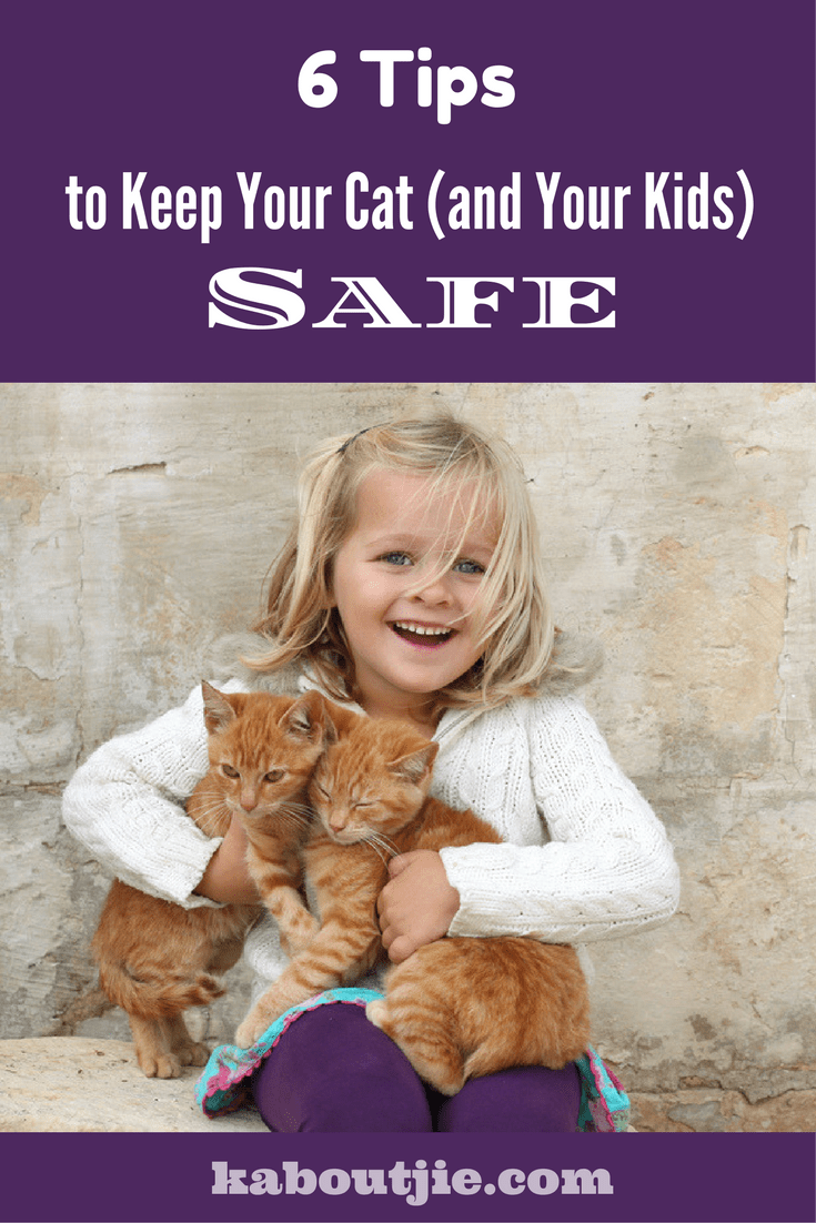 6 Tips to Keep Your Cat (and Your Kids) Safe