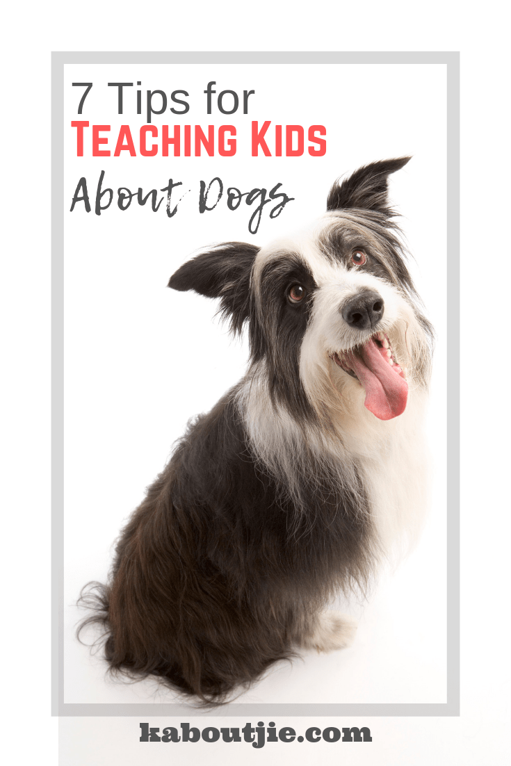 7 Tips For Teaching Kids About Dogs