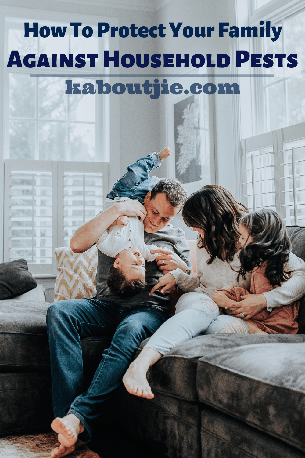How To Protect Your Family Against Household Pests