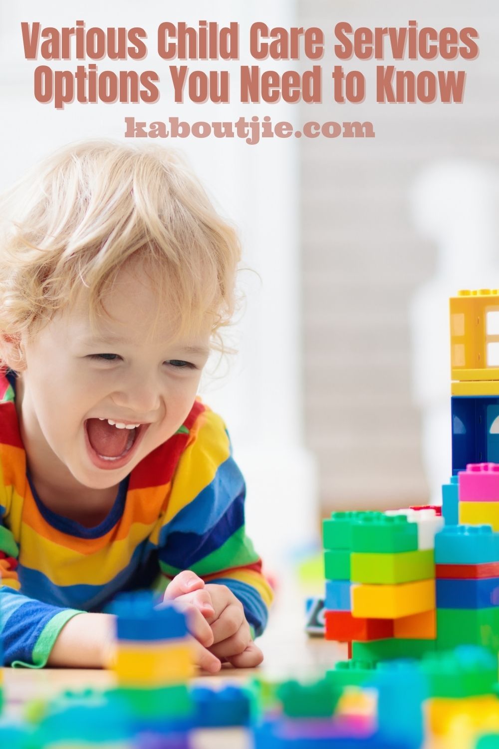 Various Child Care Services Options You Need to Know