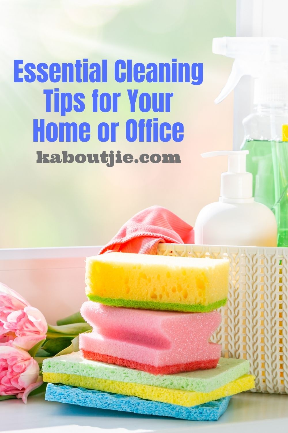 Essential Cleaning Tips for Your Home or Office